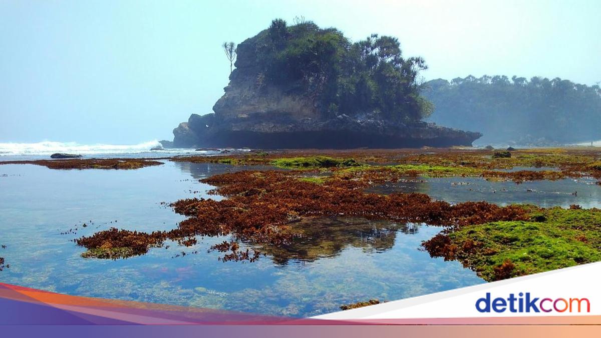 Pantai Jonggring Saloko, Fenomena Langka di Surga Tersembunyi Malang ...