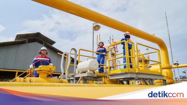 PGN Genjot Distribusi Gas Domestik Lewat Proyek Pipeline & Beyond Pipeline