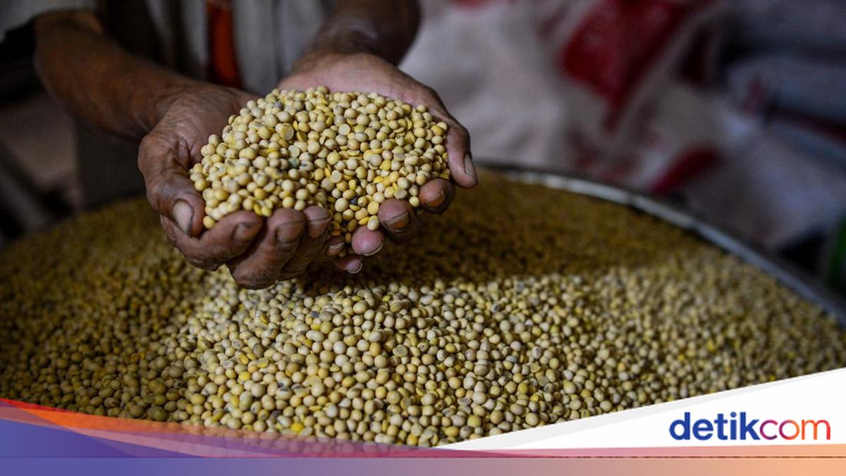 Kementan Gandeng TNI Garap Lahan 10.000 Ha buat Geber Produksi Kedelai