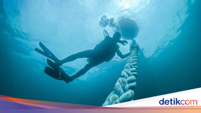 Usaha Melindungi Terumbu Karang di Raja Ampat