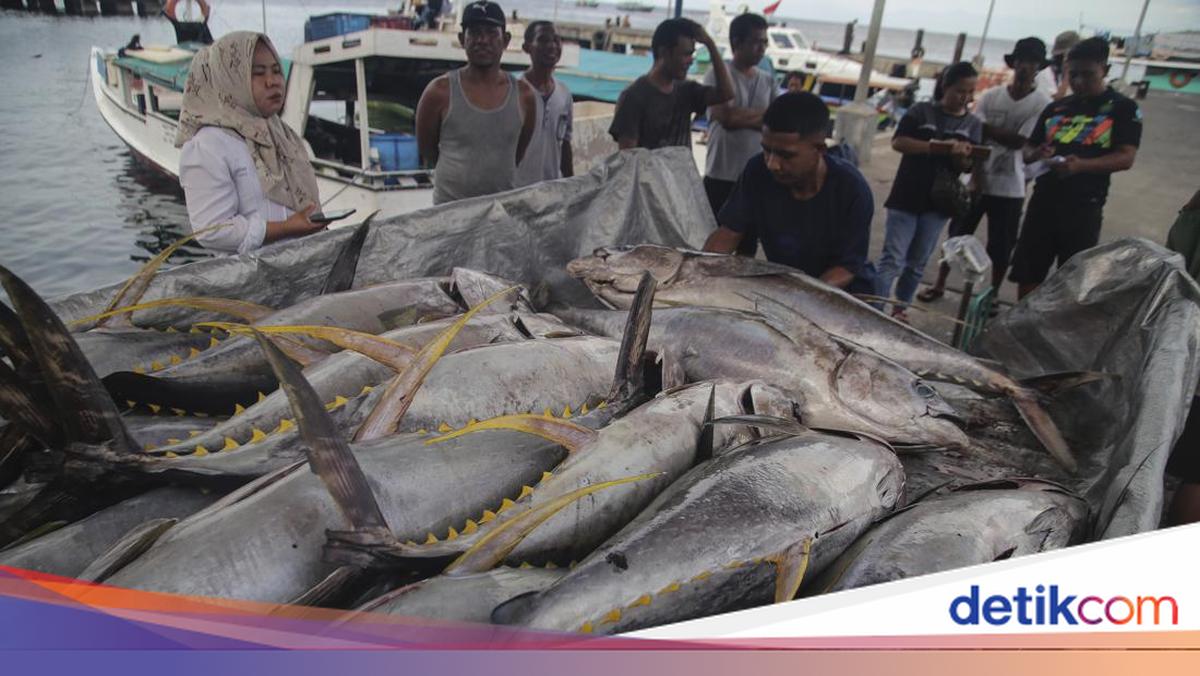 544 Perusahaan Pengolahan Ikan Tembus Pasar Ekspor ke China