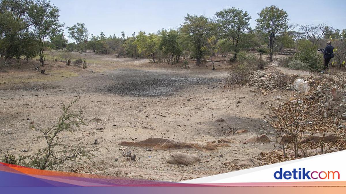 Pakar Ingatkan Dampak 'Godzilla El Nino': Tanah Retak-Kekeringan Parah
