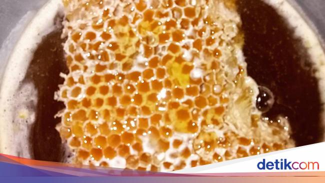 Madu Pelawan, Madu Pahit Asli Indonesia yang Istimewa