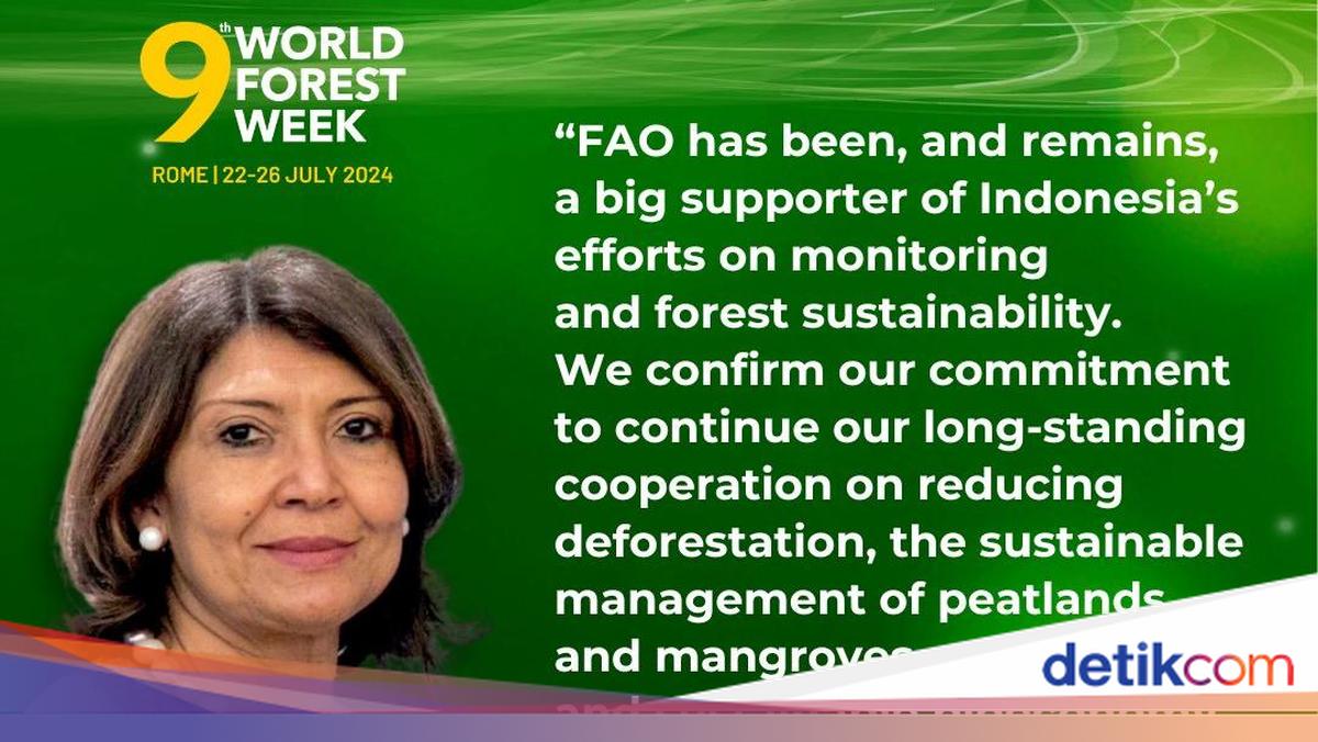 FAO & Indonesia Lanjutkan Kerja Sama Tekan Deforestasi & Kelola Mangrove