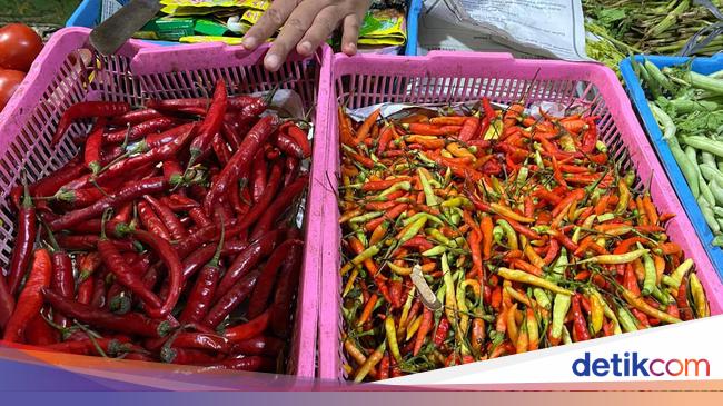 Harga Cabai di Surabaya Makin Pedas Tembus Rp 95 Ribu/Kg