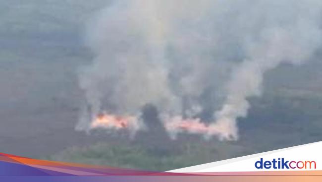 Karhutla di 8 Wilayah Sumsel Meluas, Tim Gabungan Berjibaku Padamkan