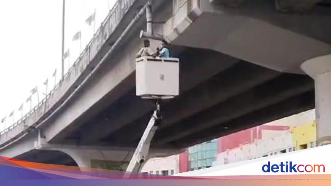 Akar Tanaman yang Bikin Coran Flyover Ciputat Rontok Sudah Dipangkas
