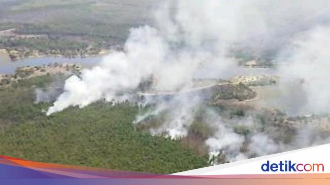 Dalkarhut Sebut Antisipasi Karhutla di Sumsel Selama Mei hingga Oktober