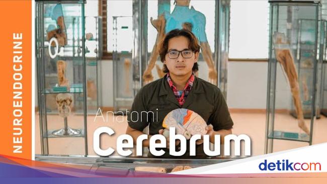 Deretan Prestasi Muhana, Dokter Lulusan UNS dengan 15 Publikasi Indeks ...