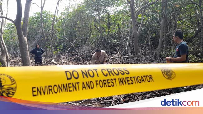 4 Pekerja Tambang Emas Ilegal di Gorontalo Ditangkap, 1 Ekskavator Disita