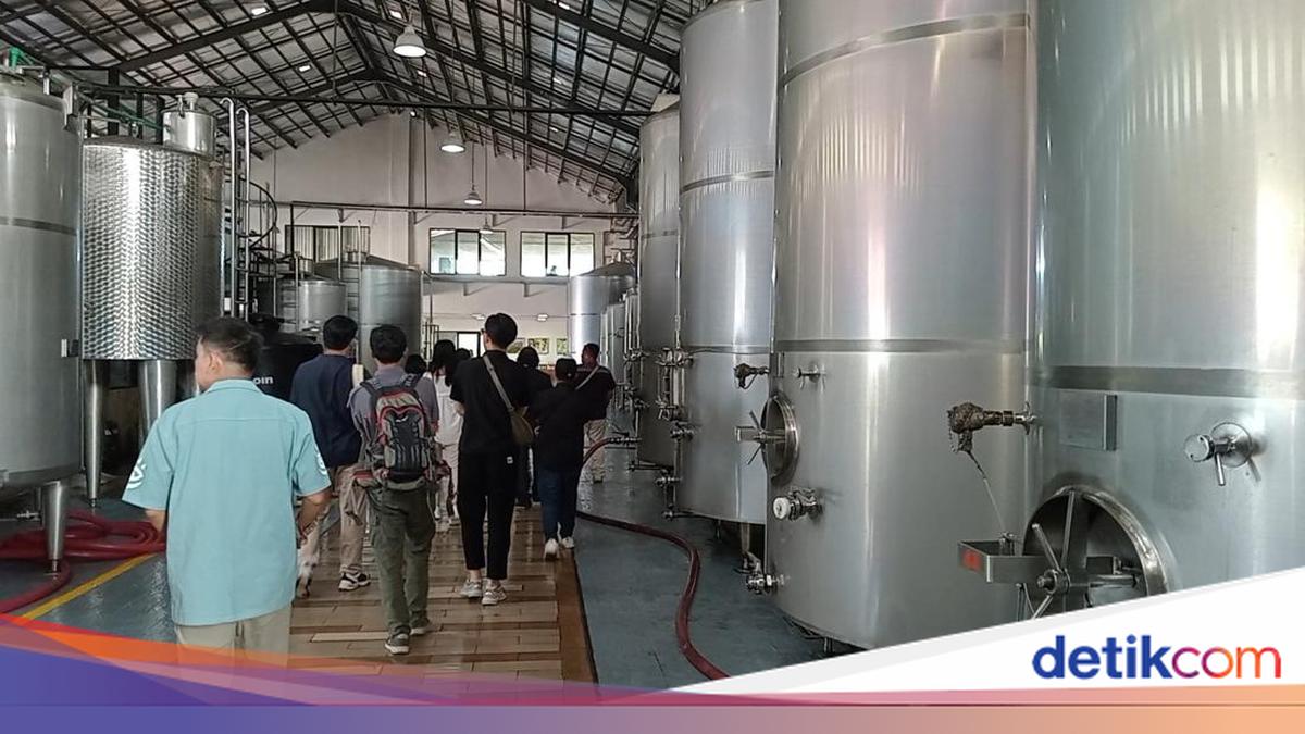 Melihat Proses Pembuatan Wine di Sababay Winery Bali
