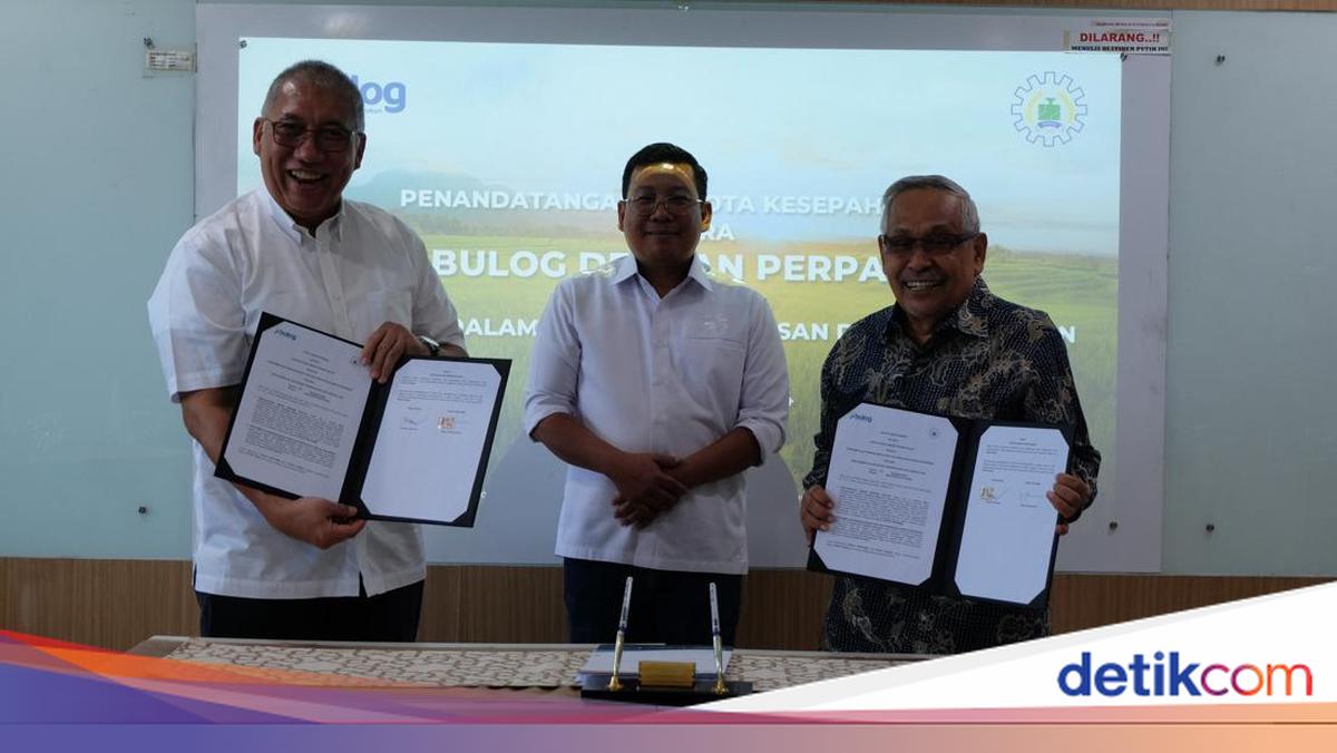 Kolaborasi Bulog-Perpadi Dorong Petani Muda Perkuat Stok Pangan