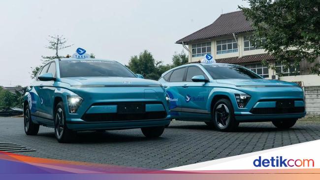 Bluebird Bali Punya 40 Taksi Listrik, Didominasi Penumpang Jakarta