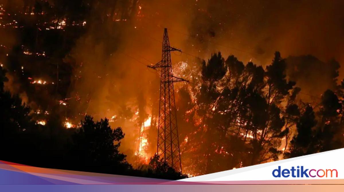 Gelombang Panas 40 Derajat Celcius, Kroasia Kebakaran