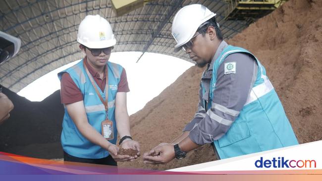 Anak Usaha PLN Sulap Serbuk Gergaji Jadi Bahan Bakar PLTU Bengkayang