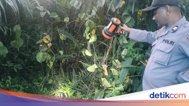 Misteri Kematian Wanita Samarinda Mayatnya Ditemukan di Semak-semak Kukar