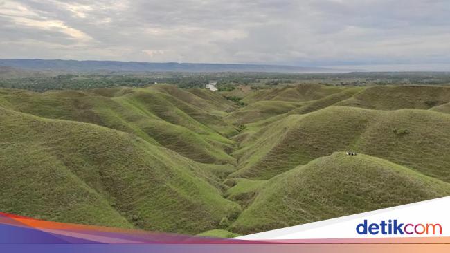 Bukit Tenau, Pesona Alam yang Memukau di Sumba Timur