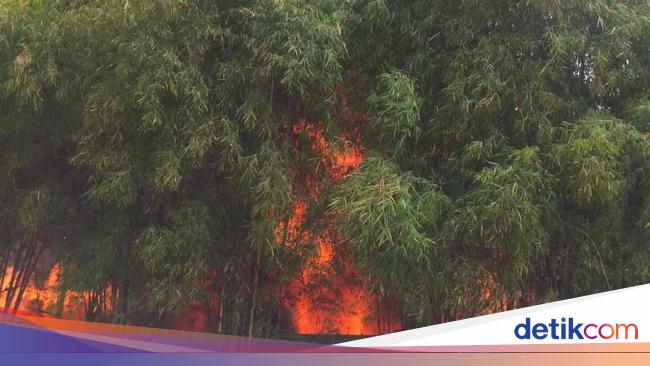Lapak Tumpukan Kayu di Jaktim Kebakaran, Api Berkobar