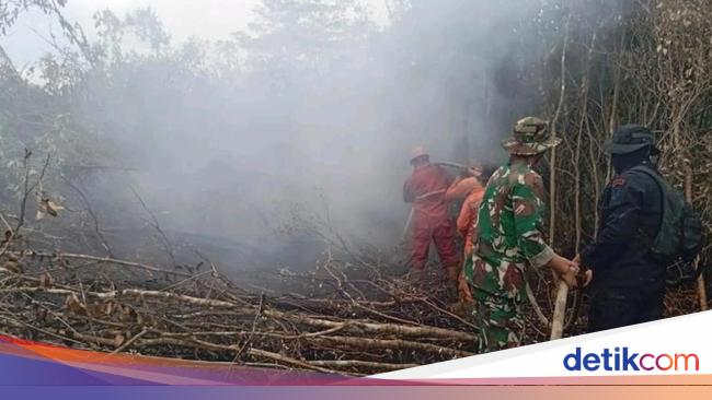 Empat Wilayah di Sumsel Masih Terjadi Karhutla, Ini Sebarannya