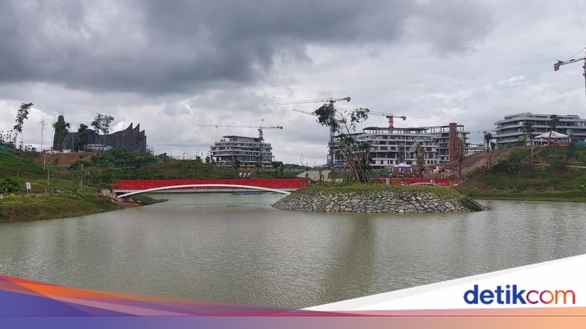 Sudah Punya 60, Jokowi Ingin Tambah Jumlah Embung di IKN Biar Makin Adem