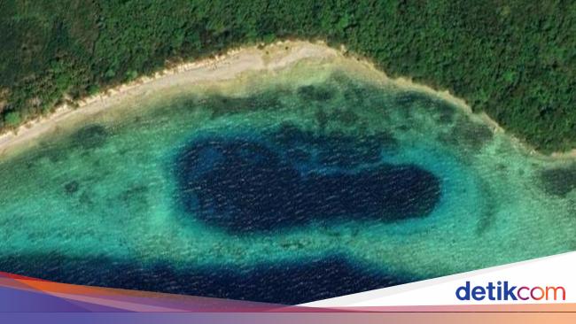Melihat Keunikan Palung Telapak Kaki Raksasa dan Batu Payung di Flores ...