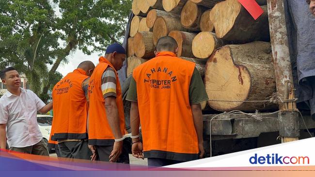 Polisi Gagalkan Penyelundupan 36 Kayu Hasil Pembalakan Liar, 4 Orang Diamankan
