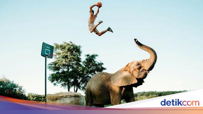 Foto Memukau Satwa Liar Karya Fotografer Seluruh Dunia Termasuk RI