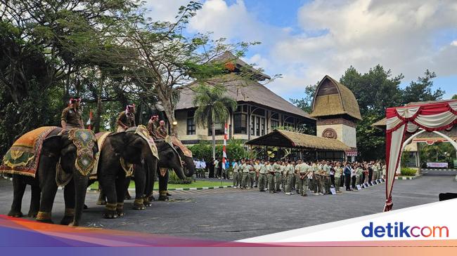 Iguana hingga Gajah 'Anteng' Ikuti Pengibaran Merah Putih di Bali Safari