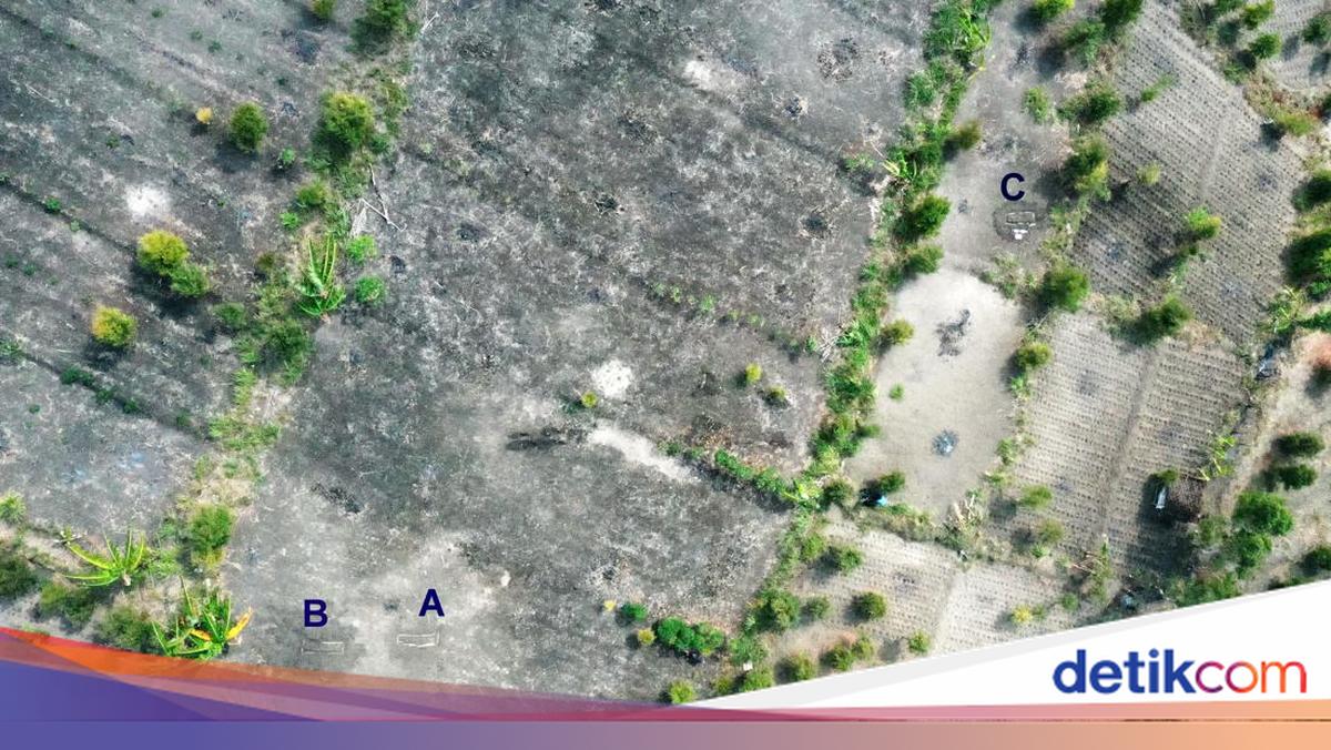 Kubur Batu di Paliyan Gunungkidul Diduga Peninggalan Era Megalitikum
