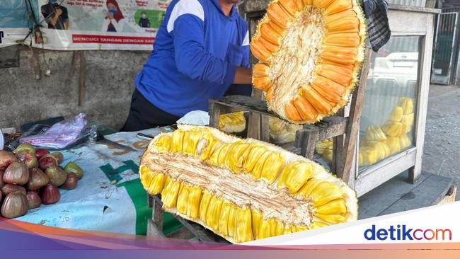 Berkah Buah Nangka yang Antarkan Anak Slamet Raih Gelar Sarjana