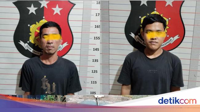 Kepergok Curi Sawit, 2 Pria di OKU Diamankan Polisi