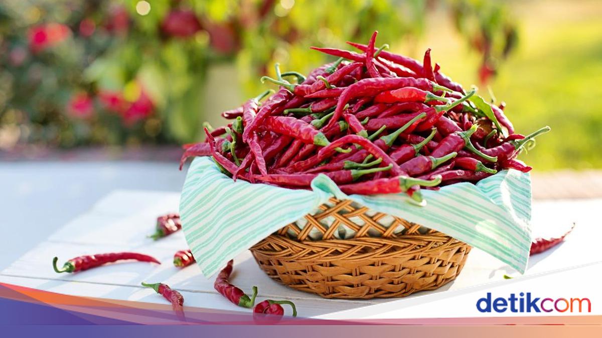 Harga Cabai di Petani Cuma Rp 3.000/Kg