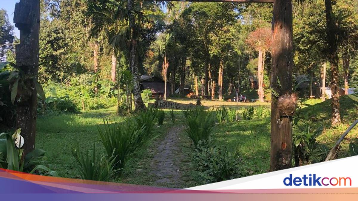 Nagih Banget! Glamping di Tengah Hutan Gunung Gede Pangrango