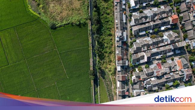 Potret Nyata Lahan Sawah Kian Menyusut, Beralih Jadi Permukiman Potret Nyata Lahan Sawah Kian Menyusut, Beralih Jadi Permukiman