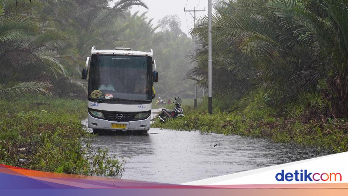 Angkutan Jalan Perintis Sudah Layani Ratusan Trayek di Seluruh Indonesia