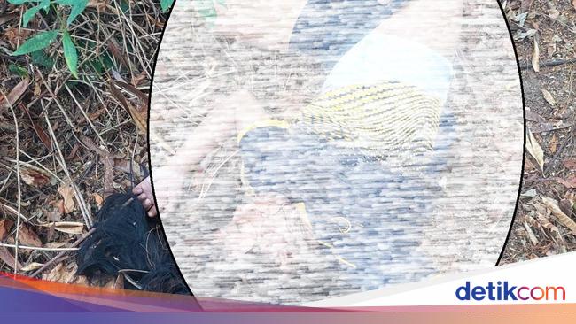 Mayat Remaja Putri Ditemukan di Kuburan Cina Palembang Mayat Remaja Putri Ditemukan di Kuburan Cina Palembang