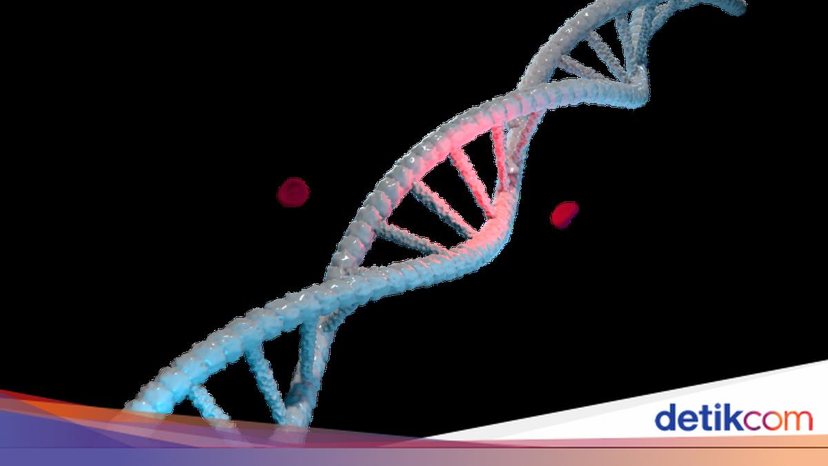 Apa Itu DNA? Ini Struktur, Komponen, Fungsi-Perbedaannya Dengan RNA