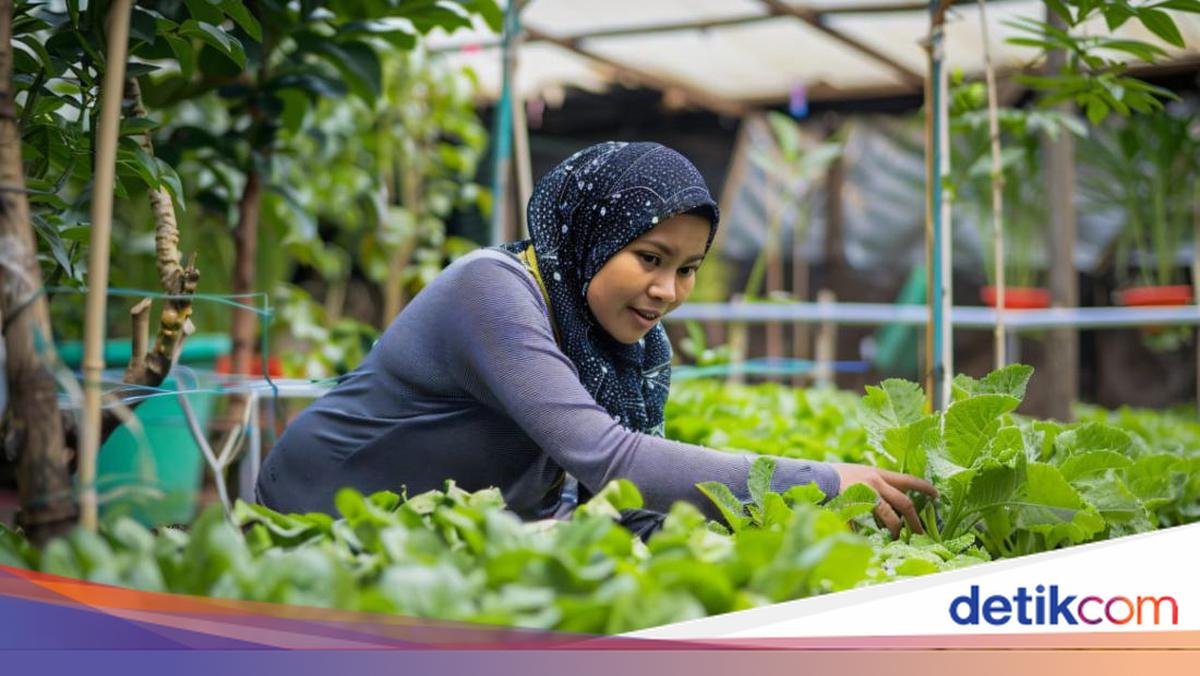 Mengenal Pola Tanam Polikultur: Kelemahan, Keunggulan, dan Contohnya