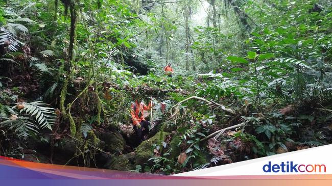 Pencarian Remaja Prancis Hilang di Gunung Batukaru Terkendala Cuaca