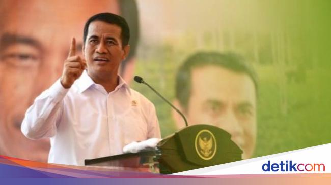 Mentan Klaim Cadangan Beras RI 2 Juta Ton, Tertinggi dalam 5 Tahun