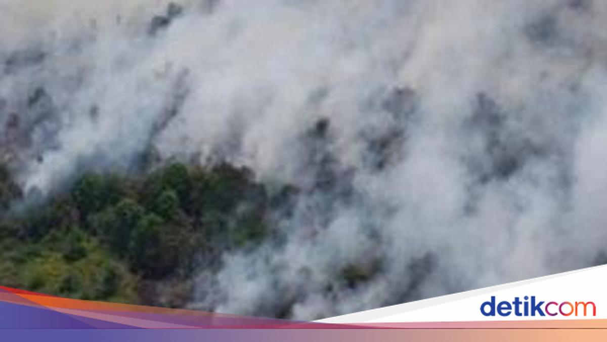 Karhutla di Sumsel Capai Ribuan Hektare, Muba Paling Luas