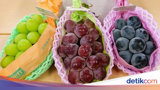 3 Jenis Anggur yang Manis Juicy dari Jepang