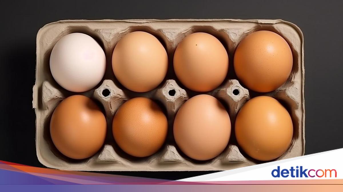 Kenapa Warna Kulit Telur Ayam Berbeda-beda? Ini Penjelasannya