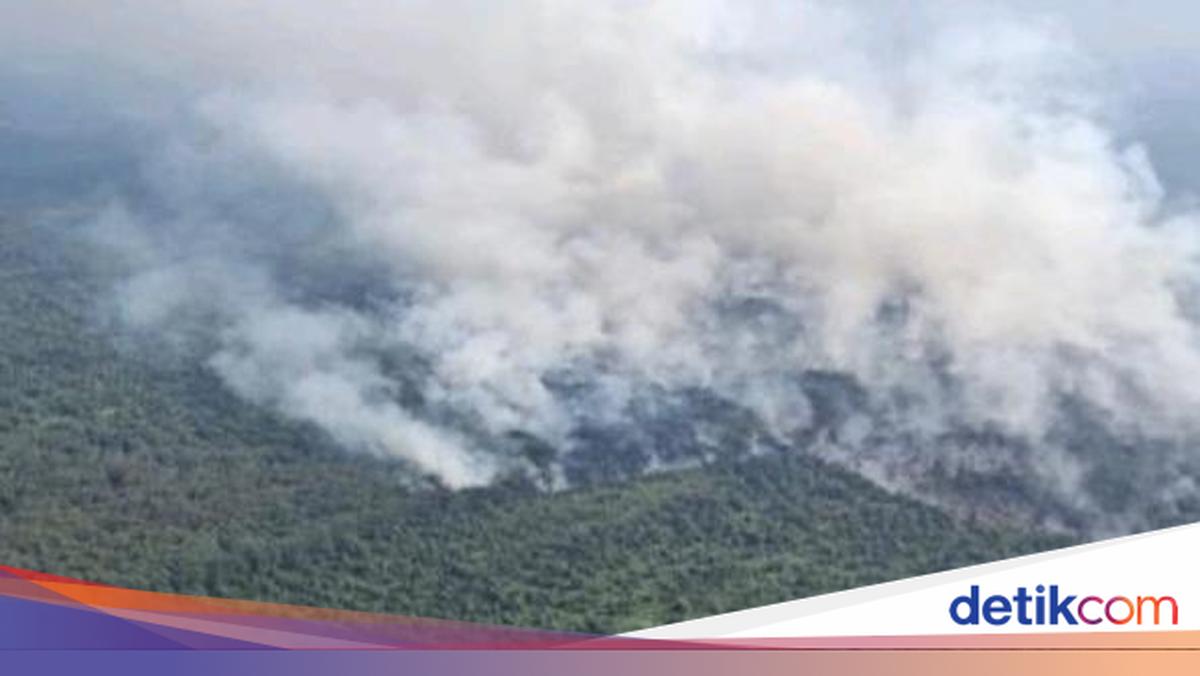 Pemadaman Karhutla di Muba Dioptimalkan, Kini Masih Berasap