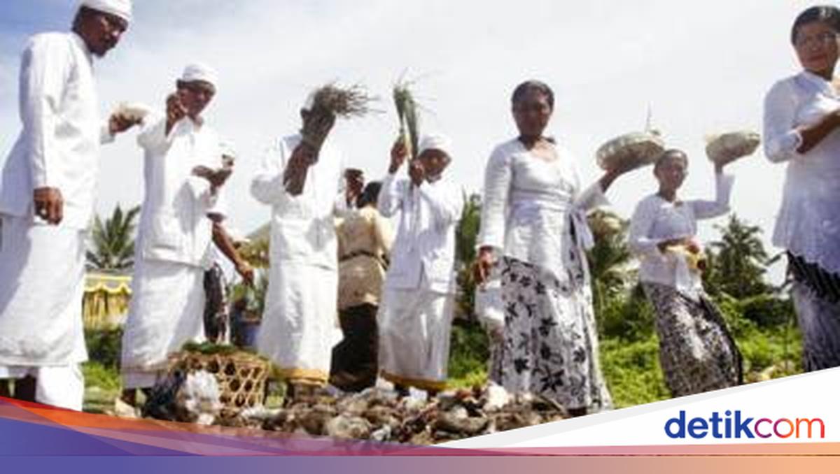 Mengenal Makna dan Tujuan Tradisi Ngaben Tikus di Bali