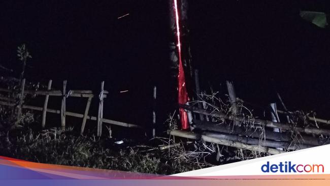 Viral Pohon Jati Keluar Api Saat Hujan di Kuningan, Secara Ilmiah ...