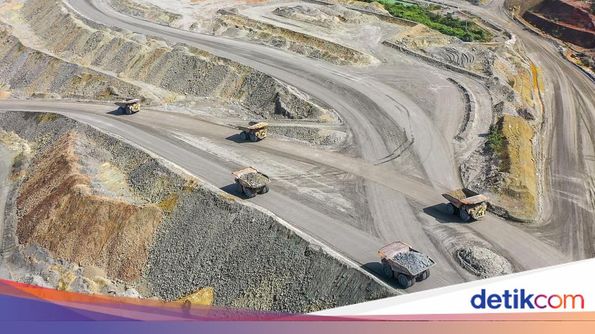 Amman Mineral Resmi Punya Bos Baru, Ini Sosoknya