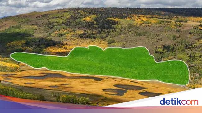 Gema Suara Makhluk Tertua di Bumi