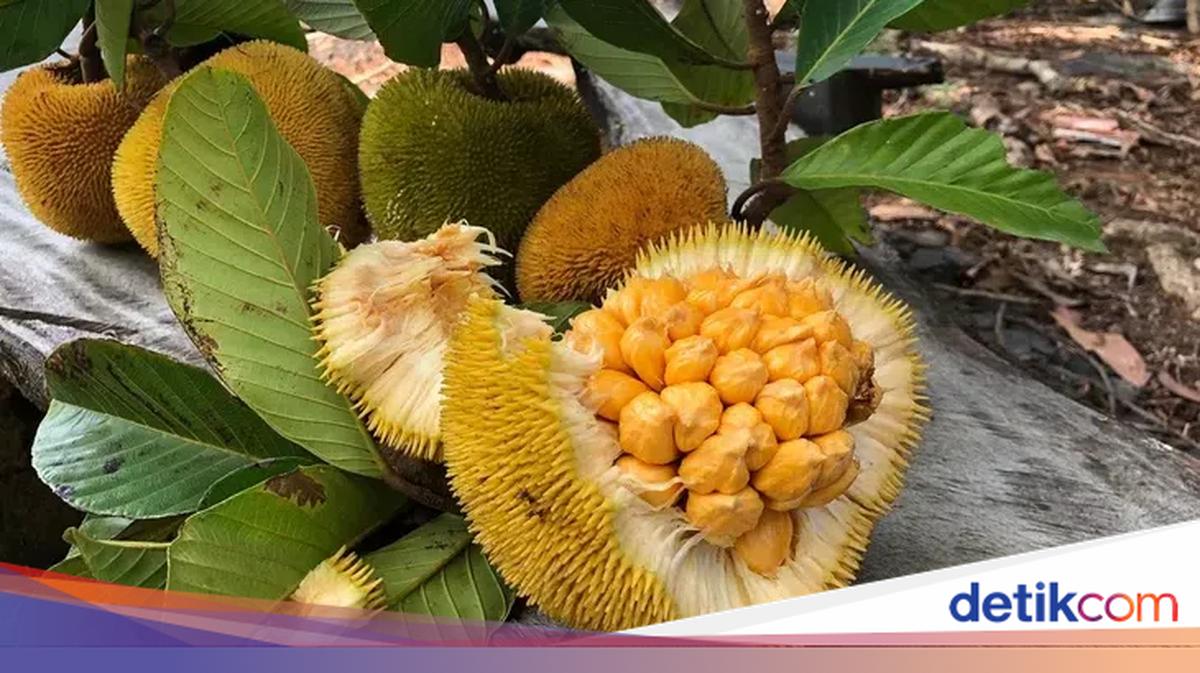 7 Buah Unik Asli Indonesia yang Wajib Kamu Cicipi