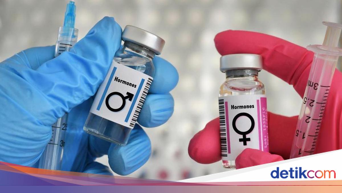 Bagaimana Cara Kerja Hormon? Ini Pengertian, Jenis, dan Fungsinya